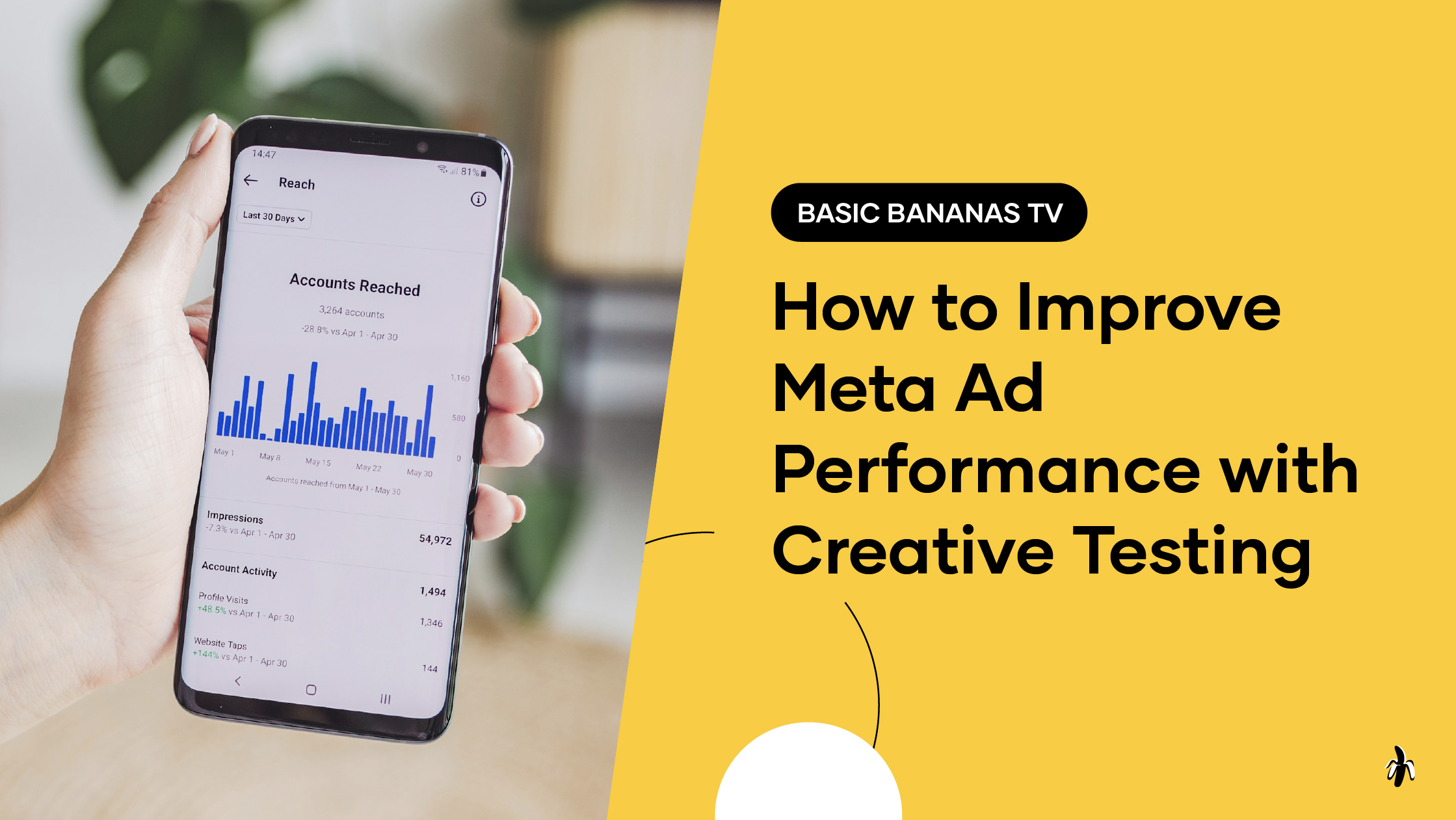 Improve Meta Ad Result with Creative Testing | Basic Bananas